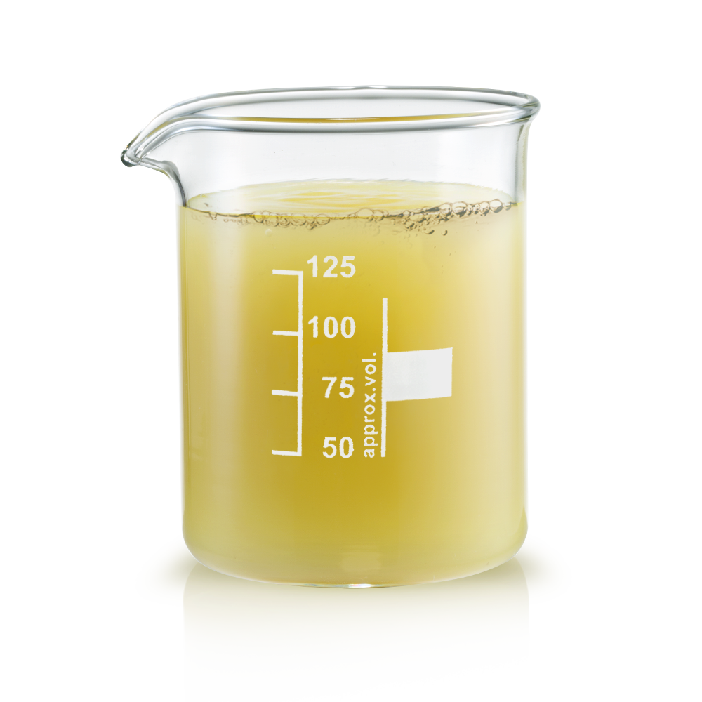 Shampoo nutriente restitutivo – www.store.womostore.com